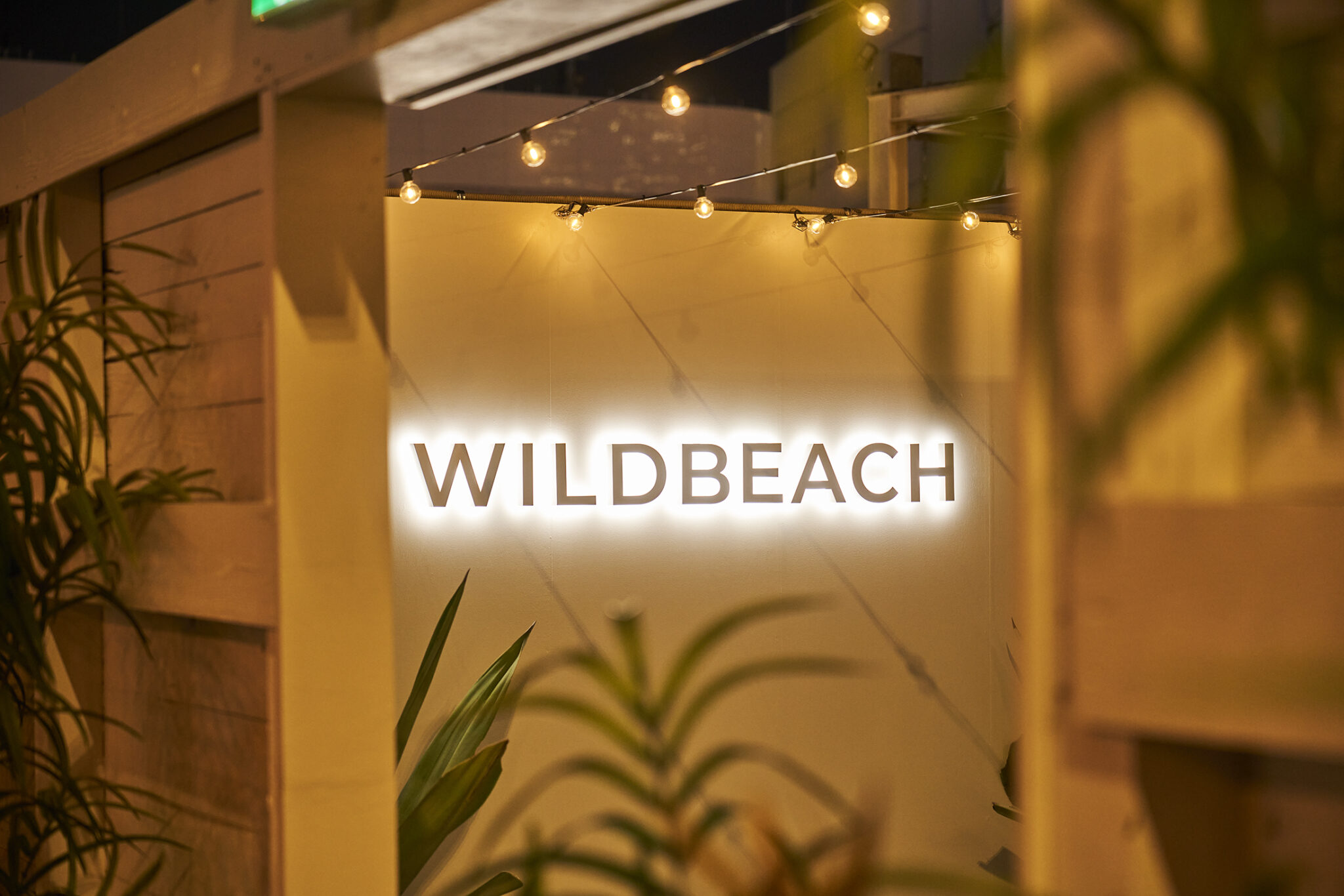2025年度営業開始のお知らせ - WILDBEACH新宿｜ワイルドビーチ【東京BBQビアガーデン】
